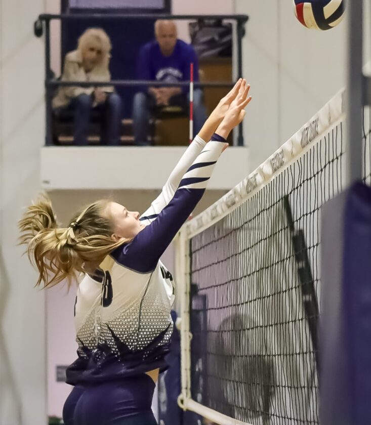 5 Lady Dragons volleyball players recognized | News, Sports, Jobs ...